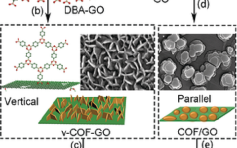 Angew.Chem.Int.Ed.：分子支柱法实现COF在GO上的垂直生长 - 材料牛