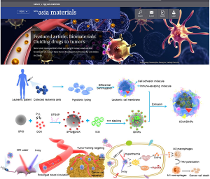 暨南大学陈填烽NPG Asia Materials：设计合成仿生纳米药物通过调控肿瘤相关巨噬细胞实现肿瘤多模态联合治疗 - 材料牛