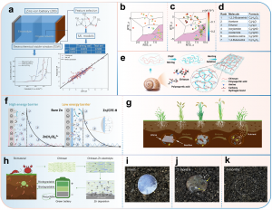 华北电力大学吕玮/徐超eScience（IF:42.9）：水系锌离子电池发展新路径综述 - 材料牛